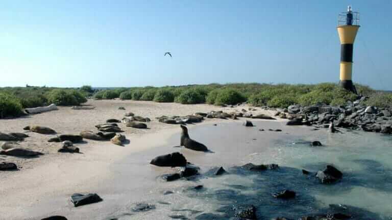 Espanola Island Galapagos - The Ultimate Visitor Guide
