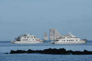 Galapagos Cruises - Quick & Easy Booking With Happy Gringo Travel