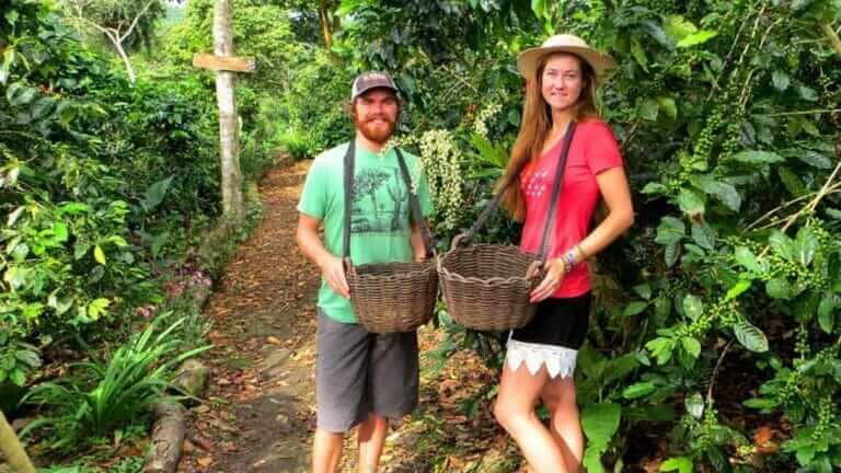 Café ecuatoriano: la guía definitiva para los amantes del café