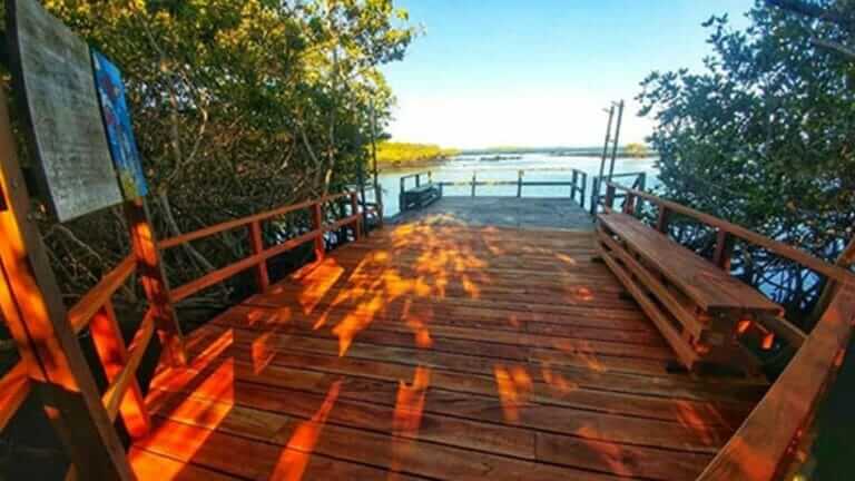 The Ultimate Visitor Guide to Isabela Island Galapagos