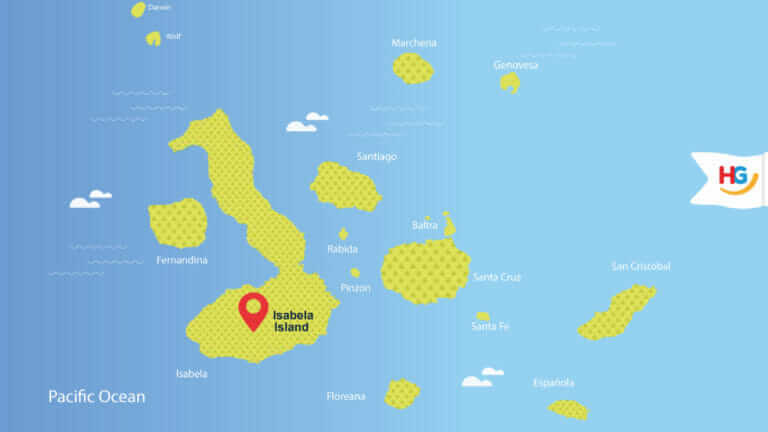 The Ultimate Visitor Guide to Isabela Island Galapagos