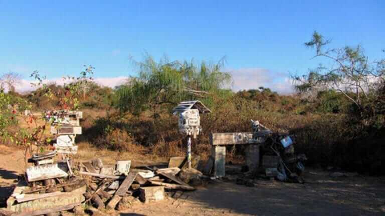 Post Office Bay Galapagos - A Most Unusual Postal Service