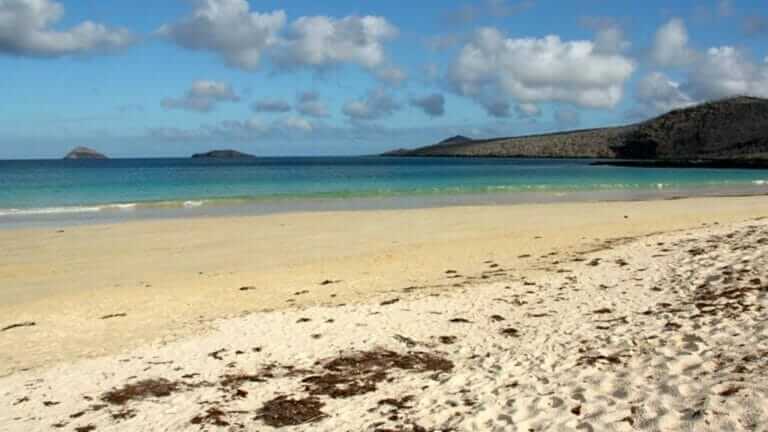 Floreana Island Galapagos - The Ultimate Visitor Guide