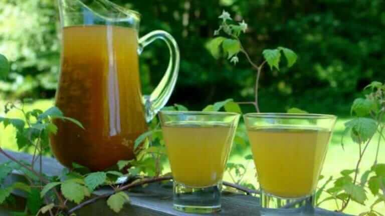 8 Traditional Ecuadorian Drinks For Visitors To Try