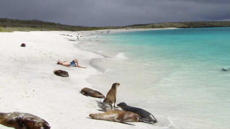 Espanola Island Galapagos - The Ultimate Visitor Guide