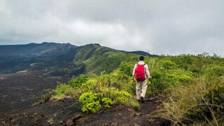 Galapagos Islands Volcanoes - A Complete Guide For Visitors