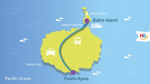 From Baltra Airport to Puerto Ayora Galapagos in 3 Easy Steps