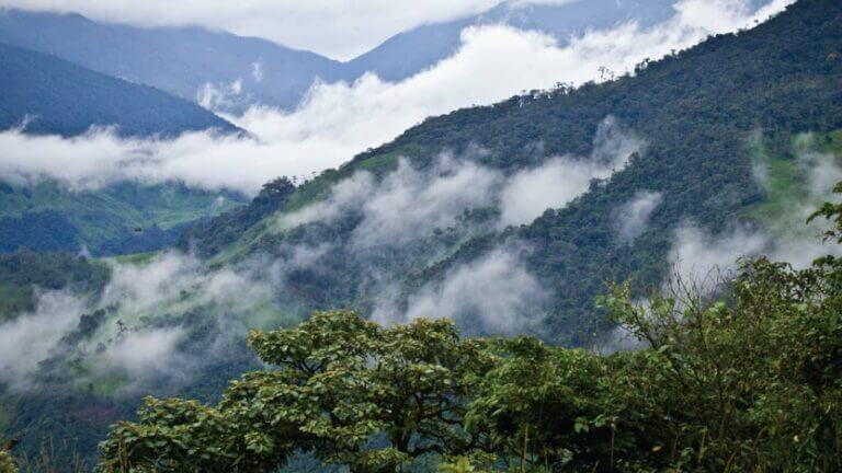 Mindo Ecuador – The Ultimate Guide to Plan Your Visit