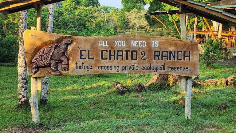 El Chato Tortoise Reserve Galapagos - The Ultimate Guide
