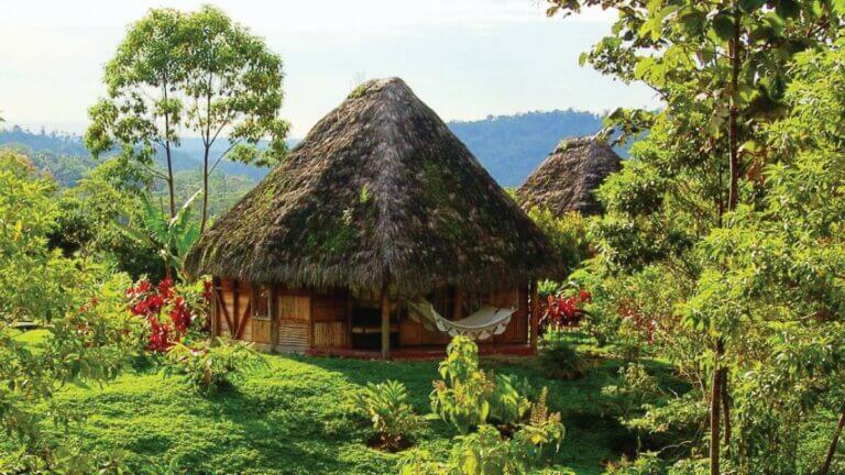 Tena Ecuador – Gateway To Amazon Jungle Adventures!