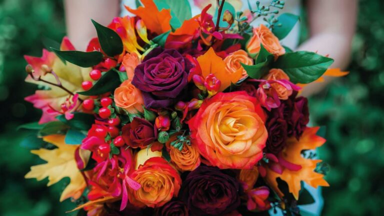 Ecuador Roses – A Visitor Guide to Rose Farms in Ecuador