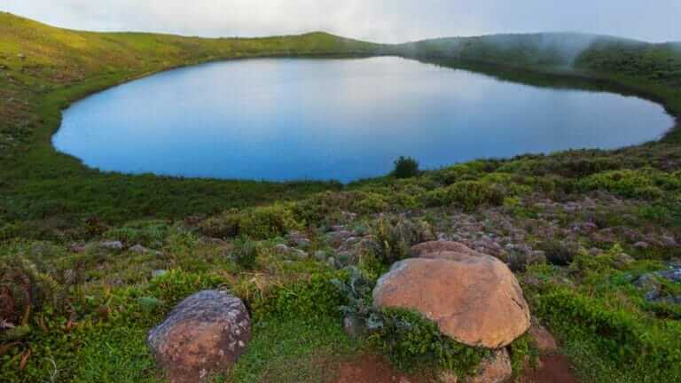 El Junco Lagoon Galapagos – The Ultimate Visitor Guide