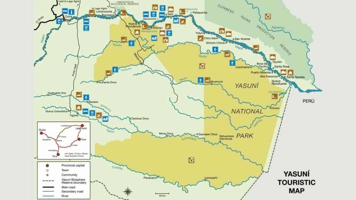 Yasuni National Park – A Visitors Guide to Yasuni Ecuador